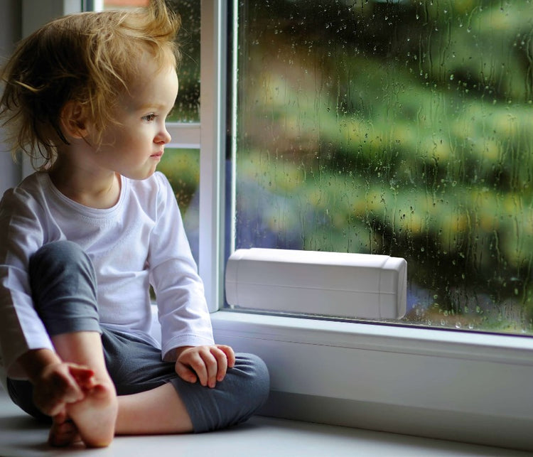 Powdertrap Home – Powder Trap