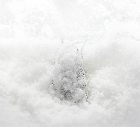 Powdertrap Home – Powder Trap